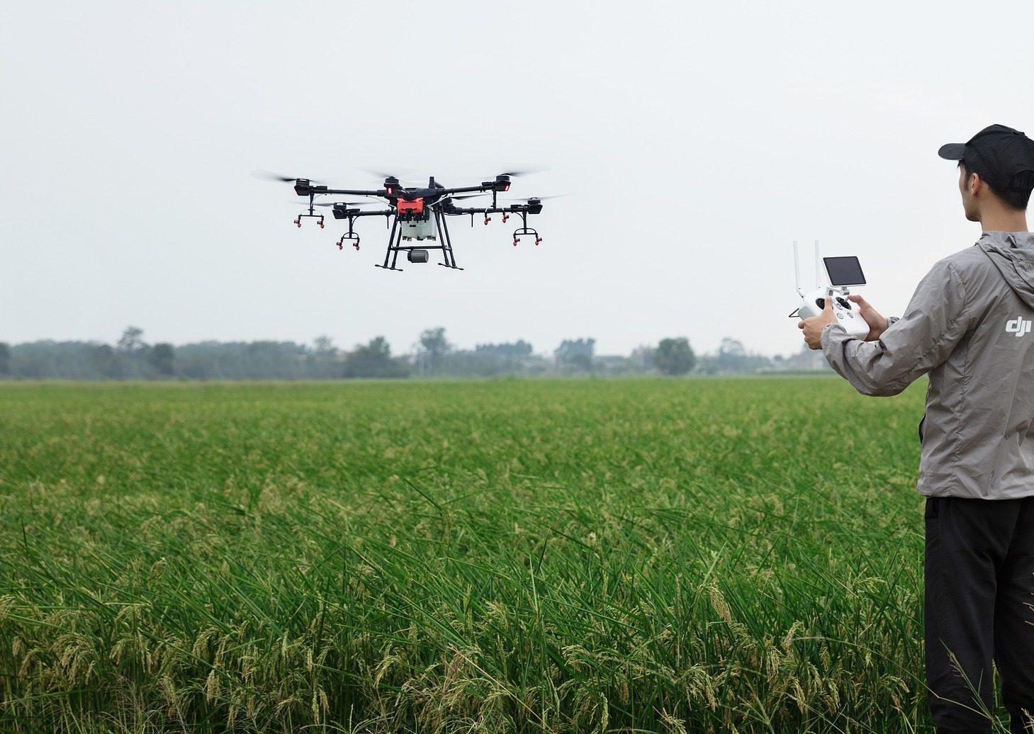 Mosquito Spraying: A Guide to Different Application Methods for ...