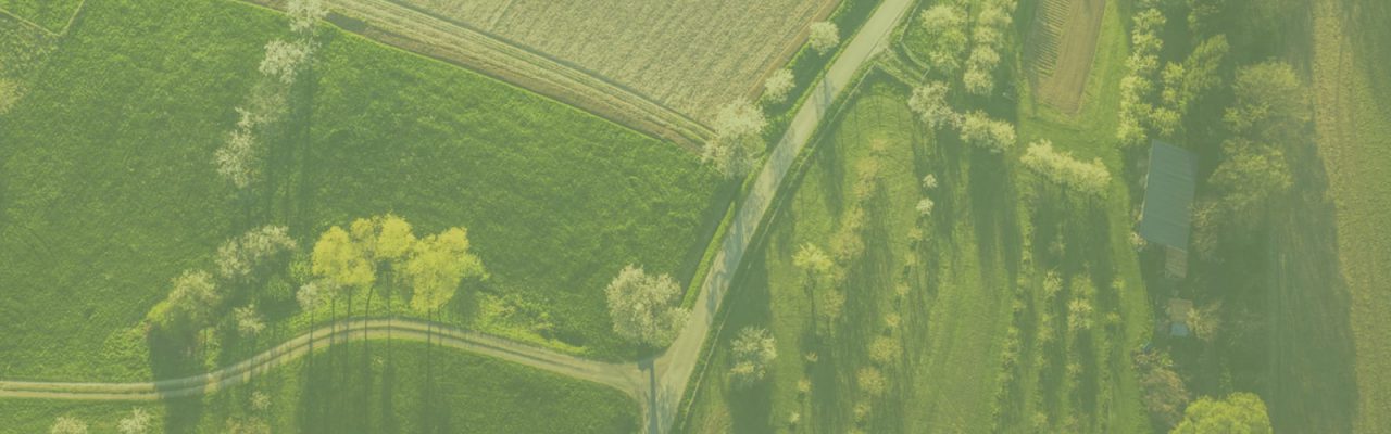 Mosquito Control Company | Environmental Mosquito Products | Clarke