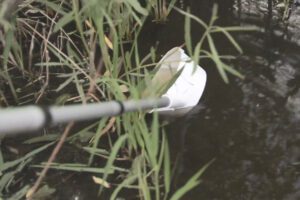 Media Resources for Mosquito Control Professionals | Clarke