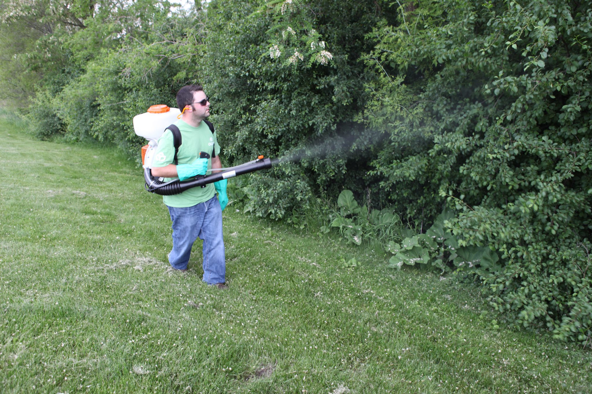 Mosquito Spraying: A Guide to Different Application Methods for ...