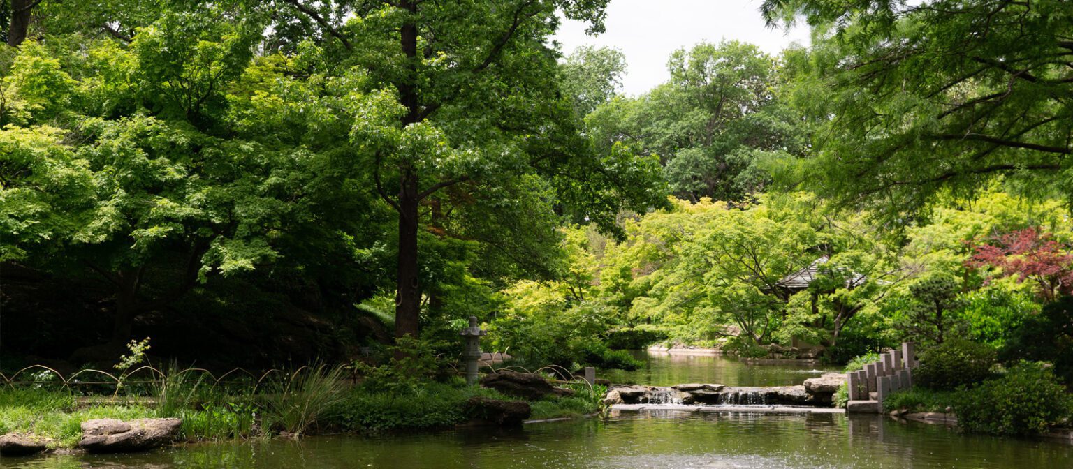 Natular® DT for Homeowners | Mosquito Control Product | Clarke