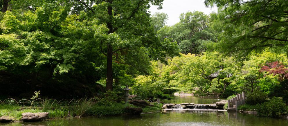 Natular® DT for Homeowners | Mosquito Control Product | Clarke