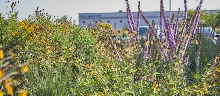 Zenivex® Mosquito Adulticide | Distributed by Clarke