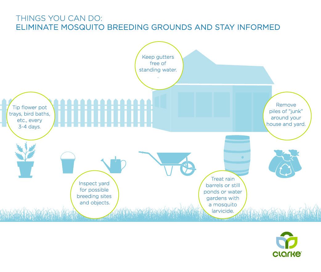 Mosquito Control Resources for Community Education | Clarke