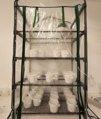 Mobile Insectaries for Mosquito Field Testing | Clarke